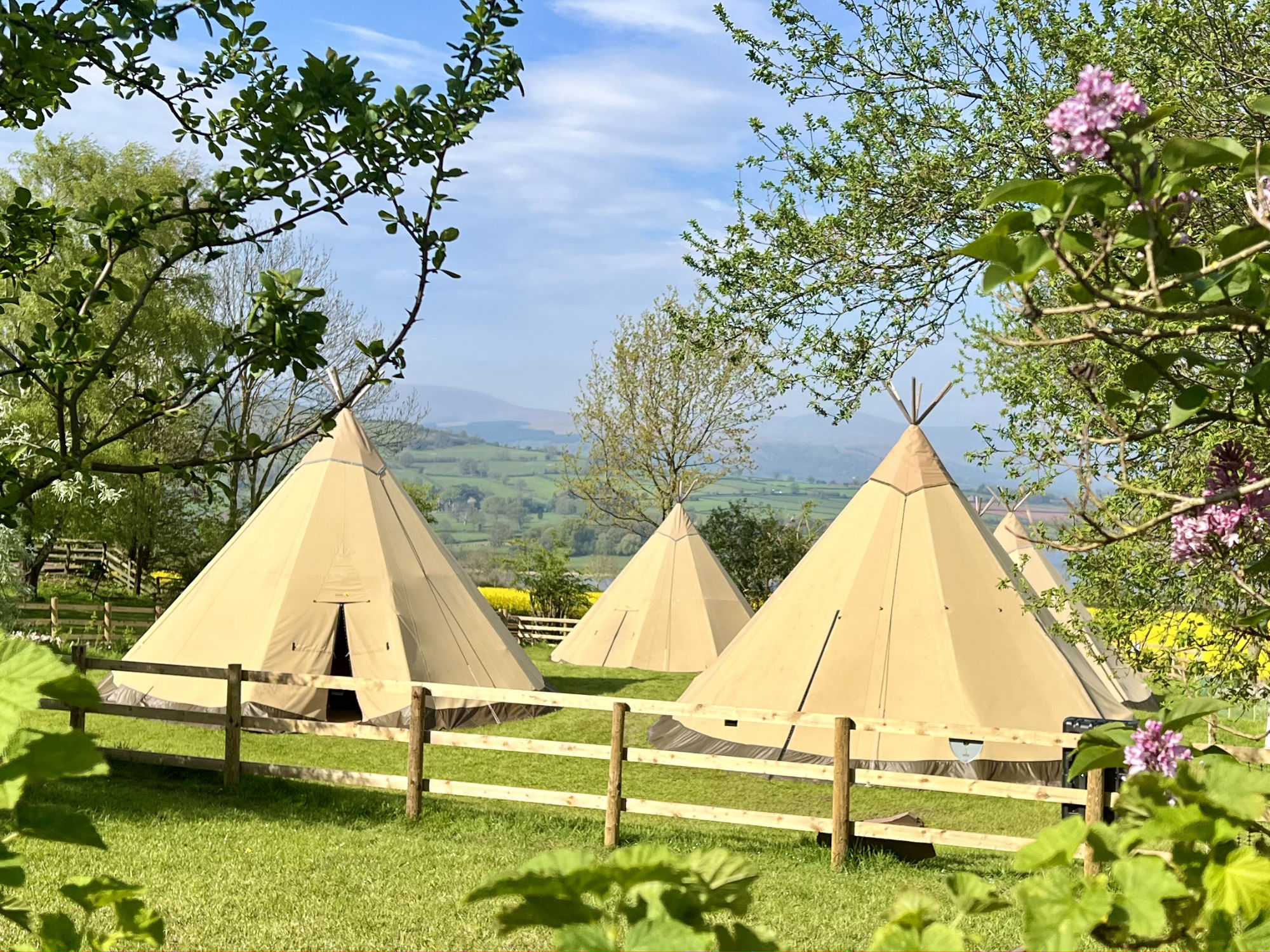 Giant Tipis – Llangorse Multi Activity Centre