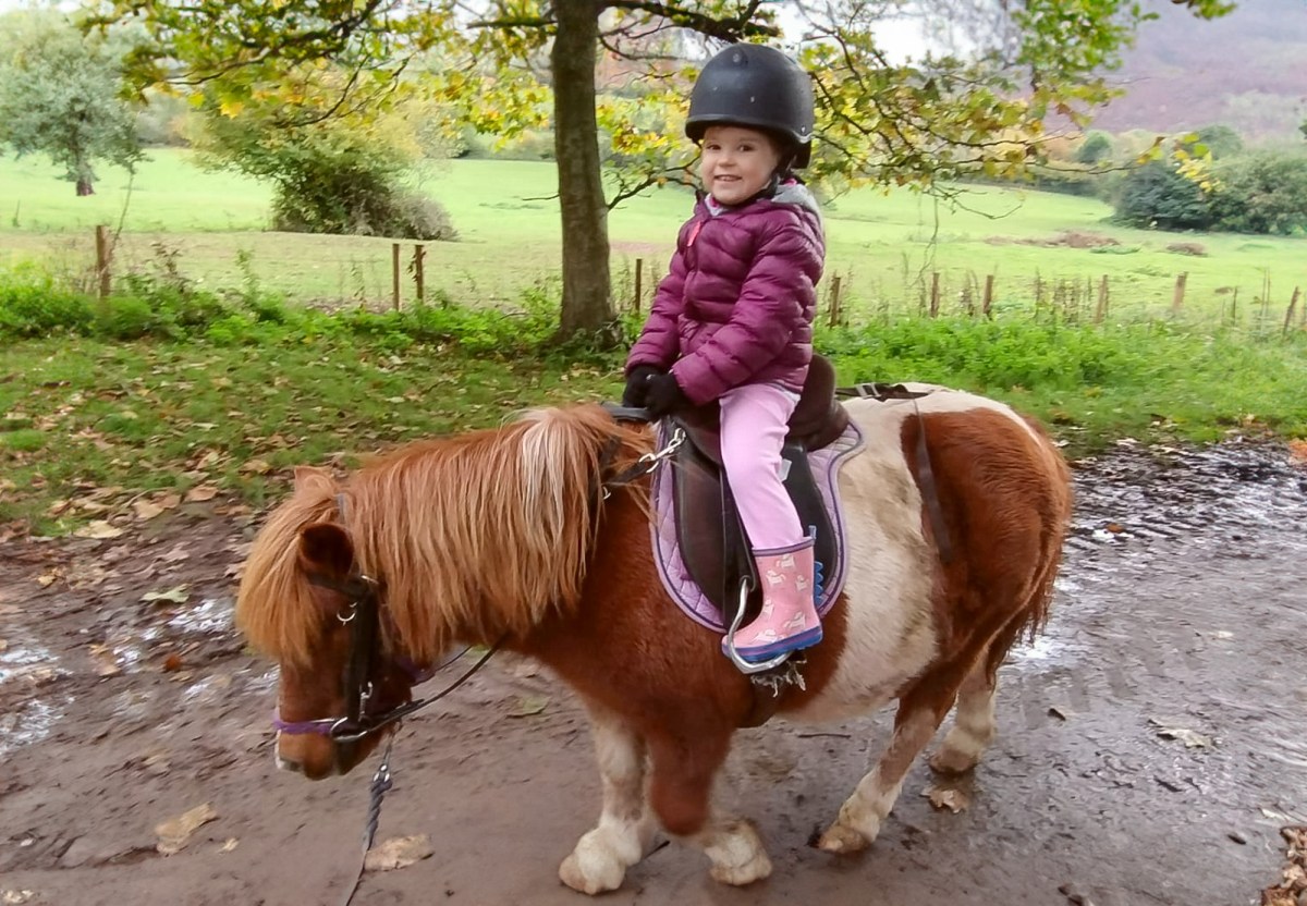 Pony Rides – Llangorse Multi Activity Centre
